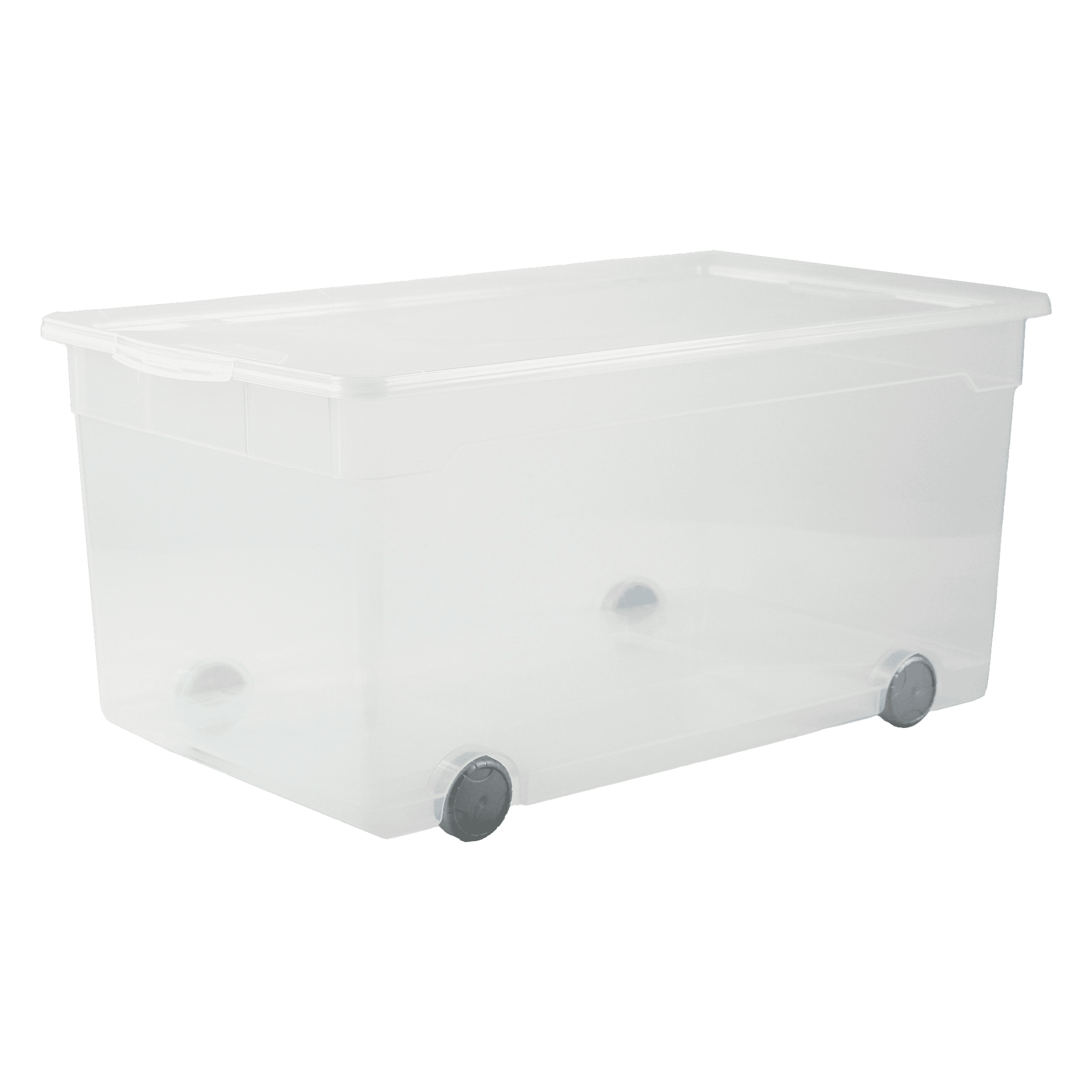 Rotho Box Clear Multimedia online kaufen | Hofmeister