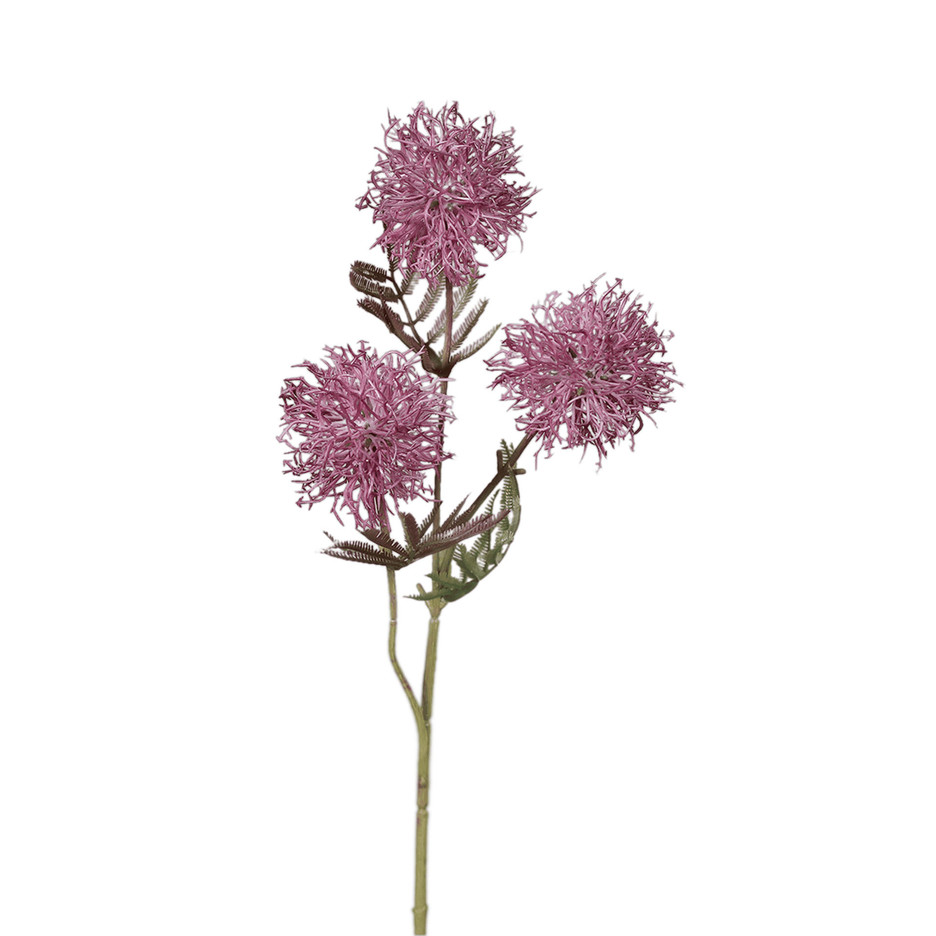 Kunstblume Distel Pink online kaufen | Hofmeister